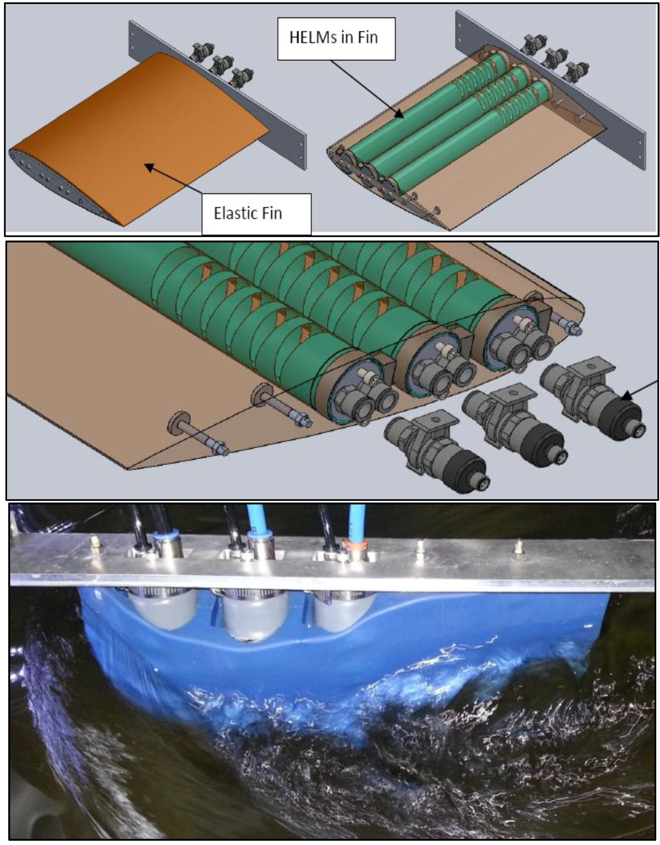 A New Type of Hydraulic Muscle