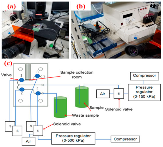 Property Investigation of Replaceable PDMS Membrane as an Actuator in ...