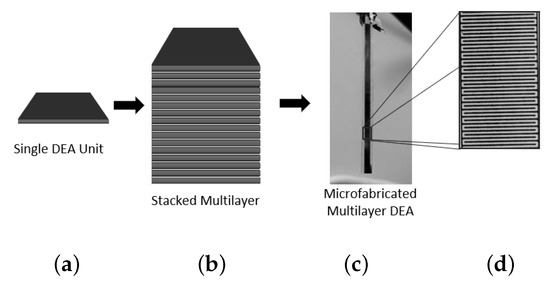 Implementation of Soft-Lithography Techniques for Fabrication of Bio ...