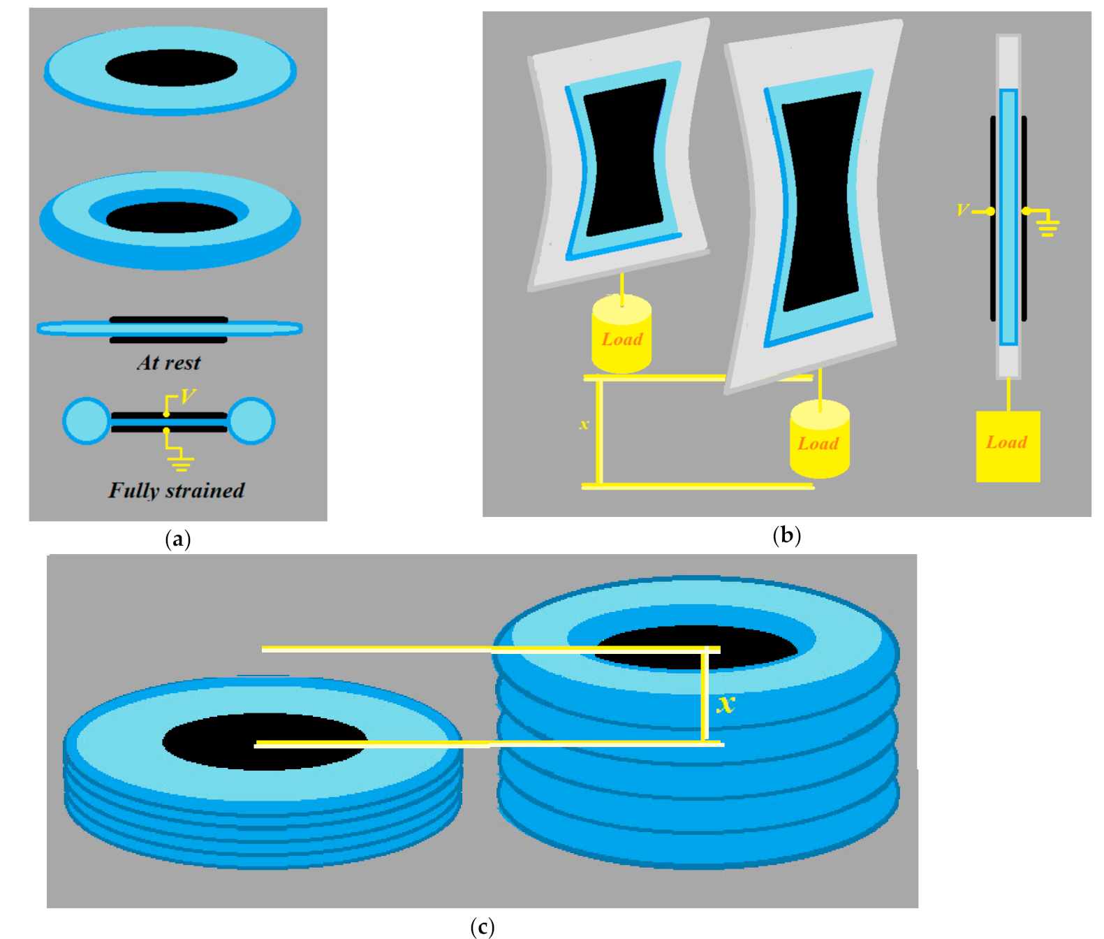 Implementation of the Biological Muscle Mechanism in HASEL Actuators to ...