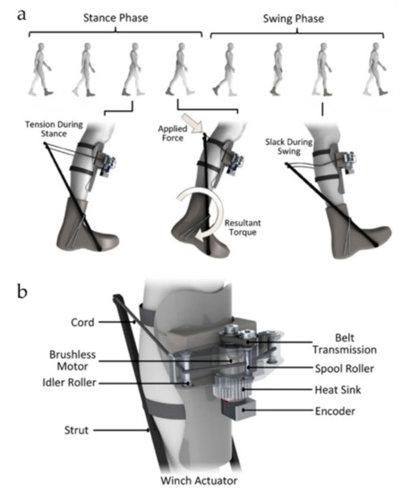 Soft Exoskeletons: Development, Requirements, and Challenges of the ...