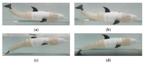 Development of a Bionic Dolphin Flexible Tail Experimental Device ...