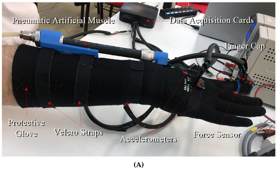 Towards Essential Hand Tremor Suppression via Pneumatic Artificial Muscles
