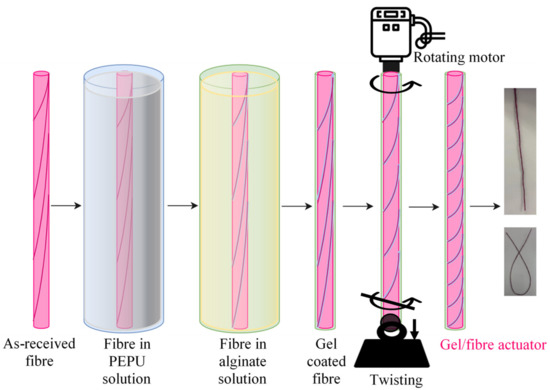 Reversible Torsional Actuation of Hydrogel Filled Multifilament Fibre ...