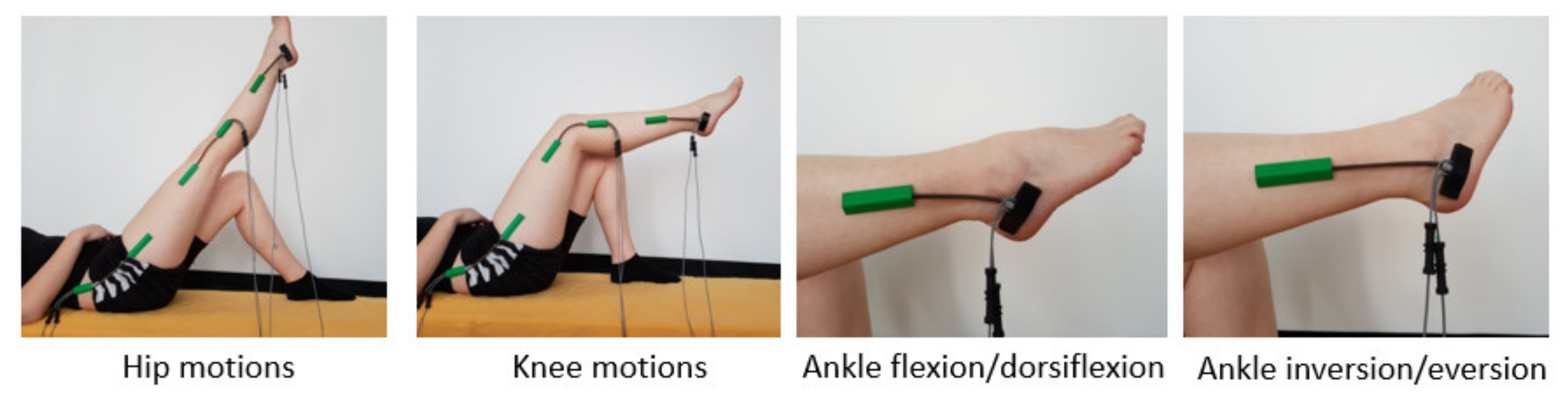 Development of a Control System and Functional Validation of a Parallel ...