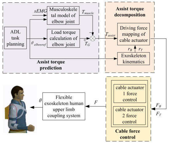 Design and Assist-as-Needed Control of Flexible Elbow Exoskeleton ...