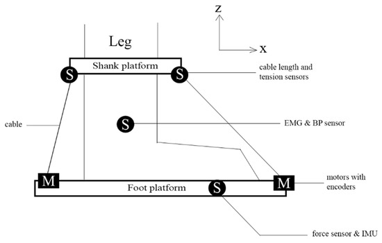Control Design for CABLEankle, a Cable Driven Manipulator for Ankle ...