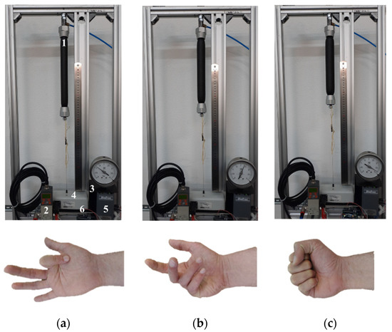Actuators | Special Issue : Artificial Muscles for Biorobotics: Study ...