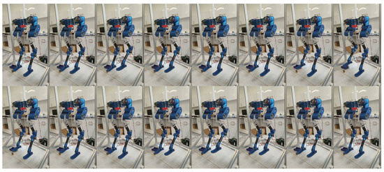 Leg Configuration Analysis and Prototype Design of Biped Robot Based on Spring Mass Model