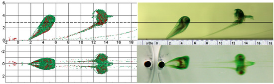 Evolution and Near-Wall Effect of the Vortex Structures Induced by In ...