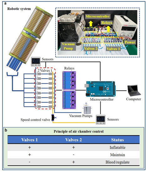 Lightweight Dual-Mode Soft Actuator Fabricated from Bellows and Foam ...