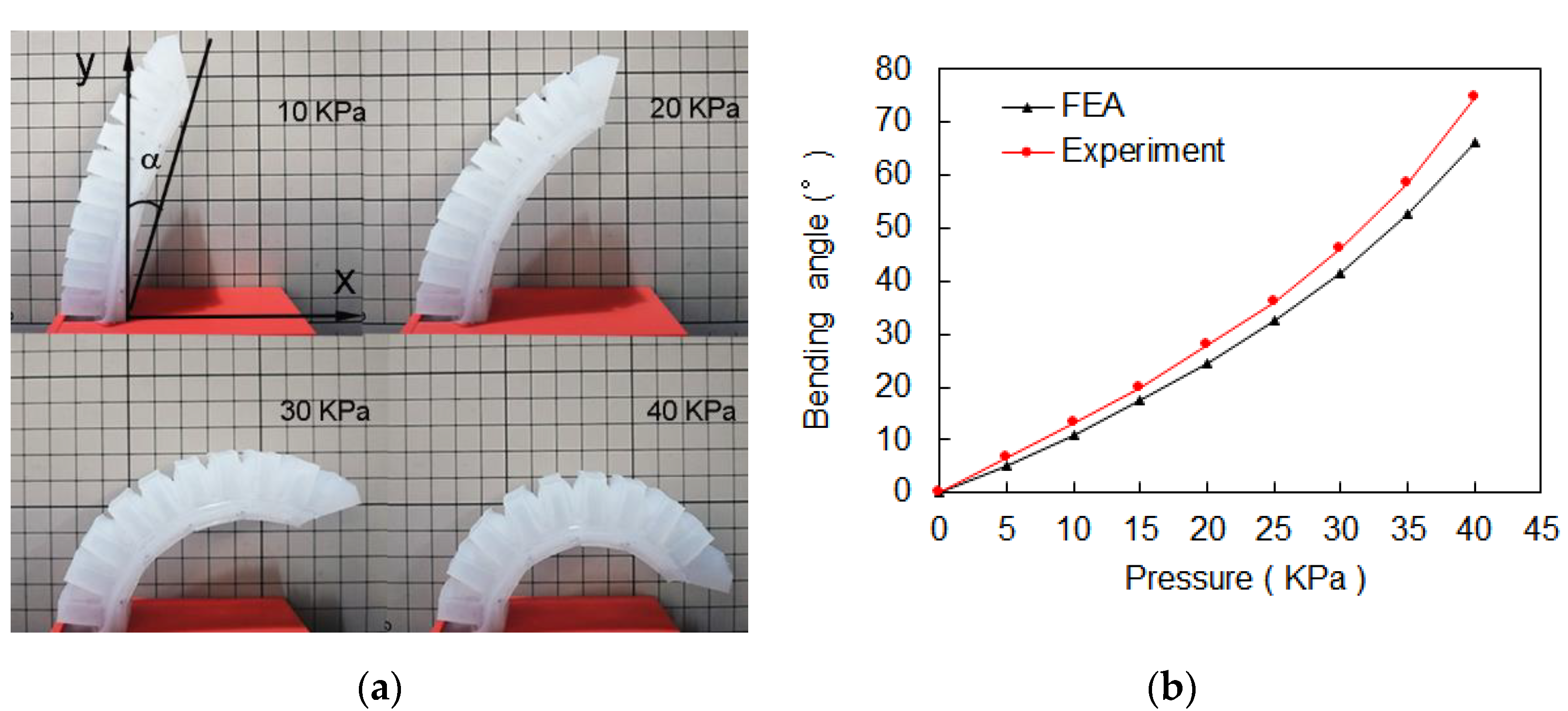 A Soft Pneumatic Gripper with Endoskeletons Resisting Out-of-Plane Bending
