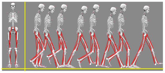 Design and Analysis of a Lower Limb Loadbearing Exoskeleton