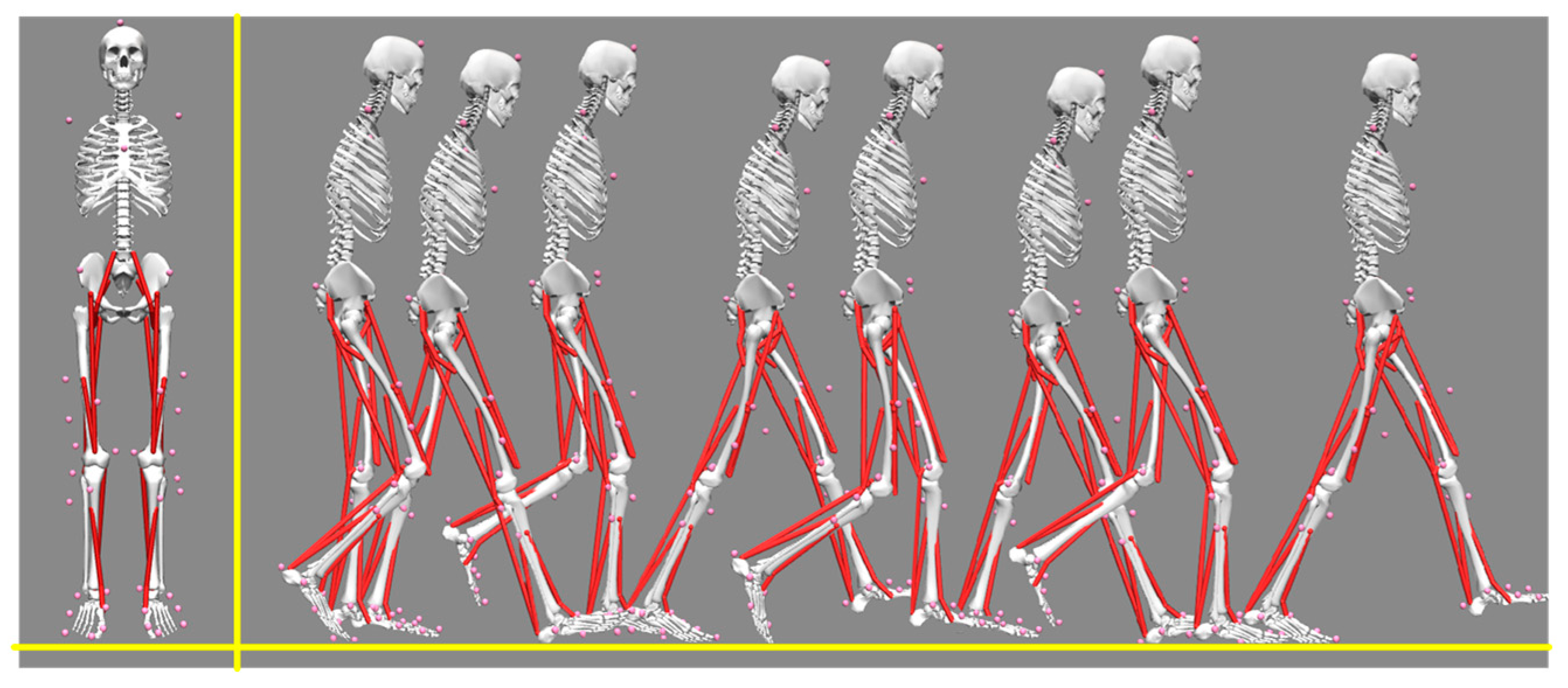Design and Analysis of a Lower Limb Loadbearing Exoskeleton