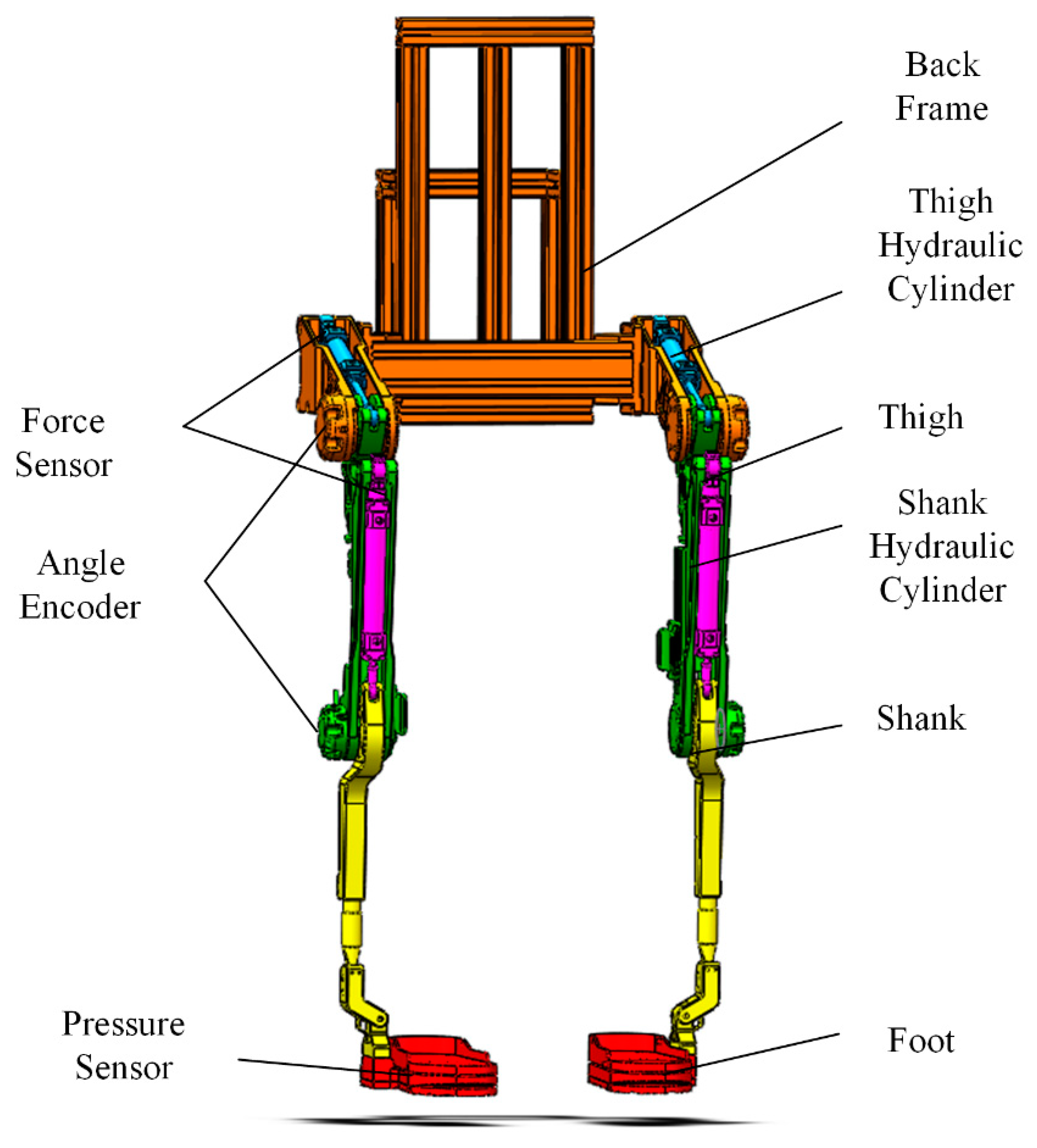 Design and Analysis of a Lower Limb Loadbearing Exoskeleton