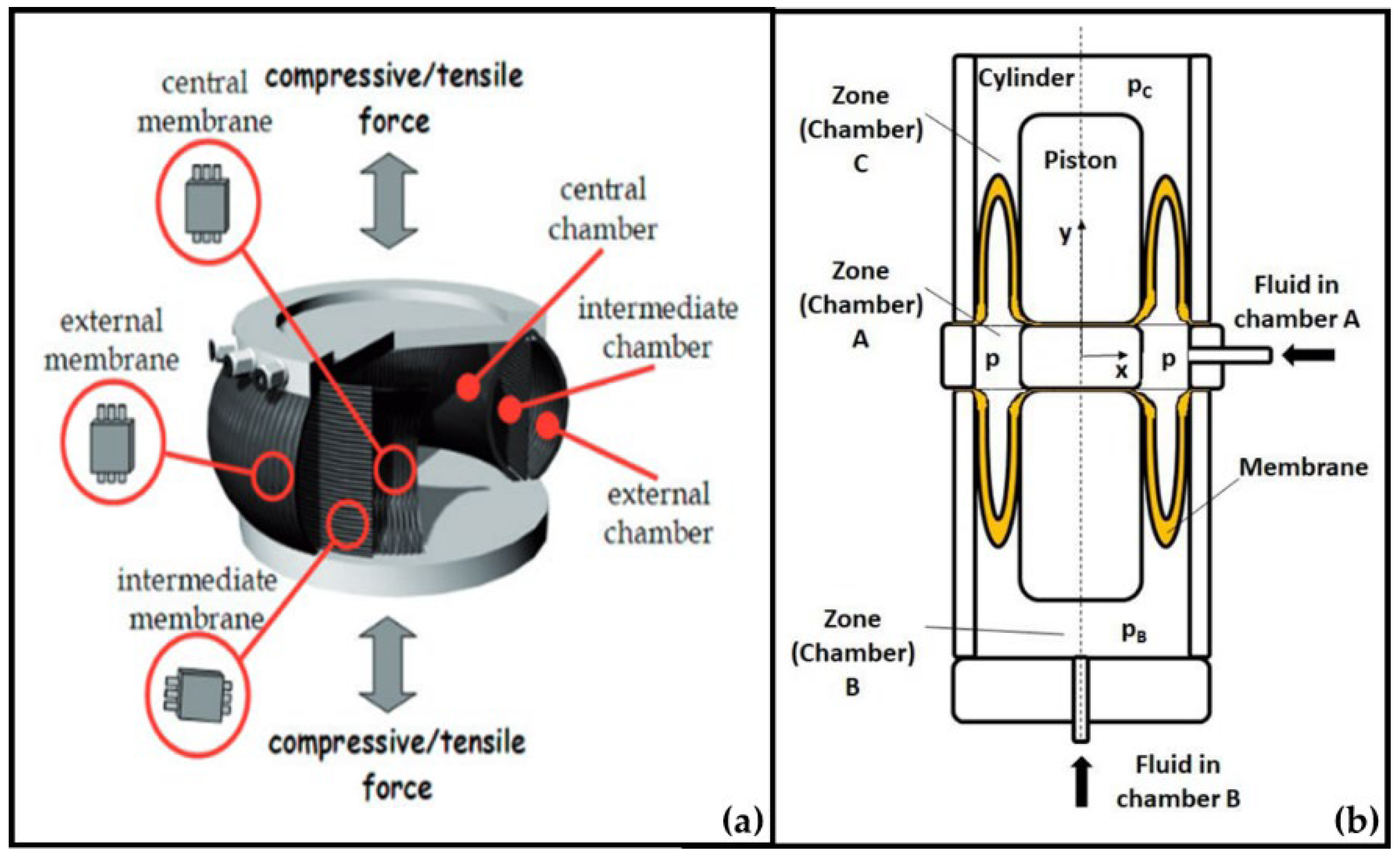 The Research on Soft Pneumatic Actuators in Italy: Design Solutions and ...