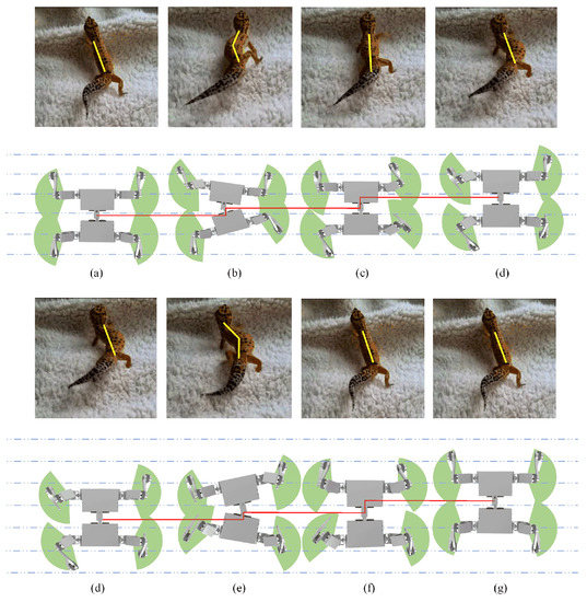 Design and Motion Planning of a Metamorphic Flipping Robot