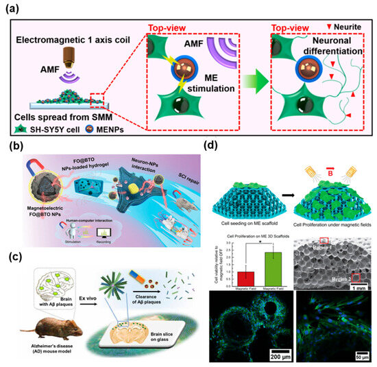 Core–Shell Magnetoelectric Nanoparticles: Materials, Synthesis, Magnetoelectricity, and Applications