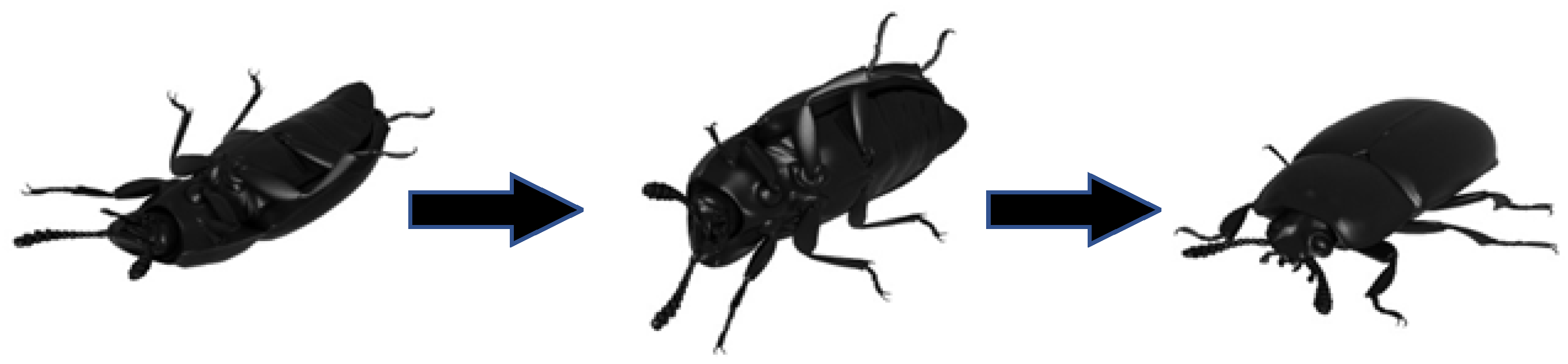 Research on Self-Recovery Control Algorithm of Quadruped Robot Fall Based on Reinforcement Learning