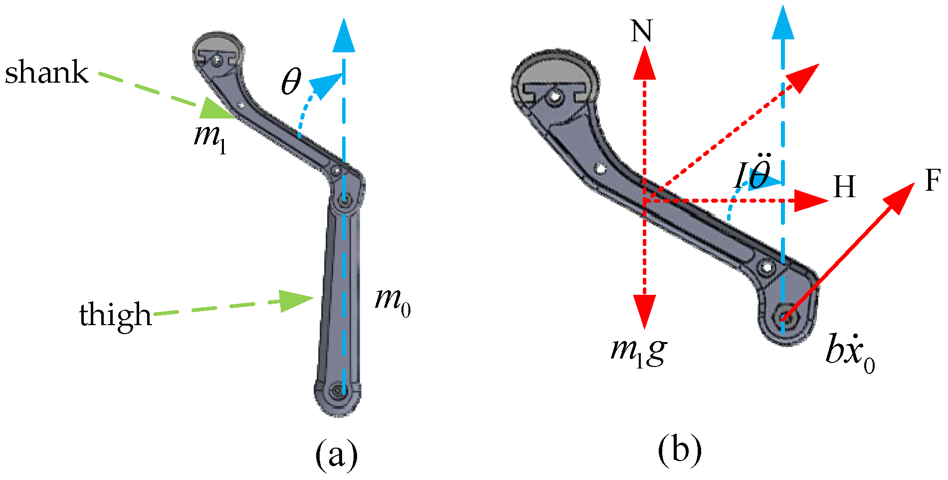 Research on Self-Recovery Control Algorithm of Quadruped Robot Fall Based on Reinforcement Learning