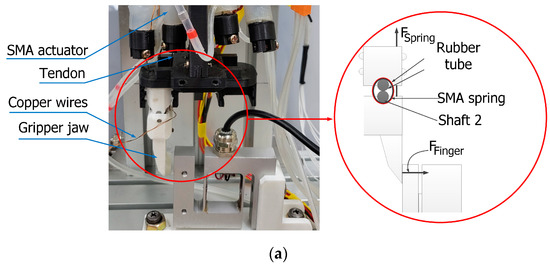 Tendon-Driven Gripper with Variable Stiffness Joint and Water-Cooled ...