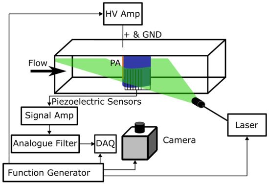 Experimental Observations of Transient Flows in Separation Control ...