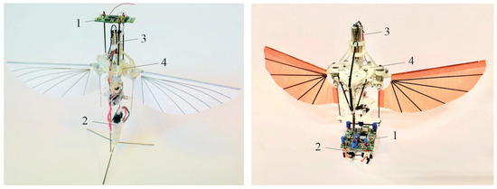 Robotic Hummingbird Axial Dynamics and Control near Hovering: A ...