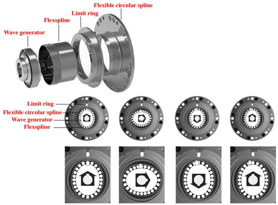 A Novel Strain Wave Gear Reducer with Double Flexsplines