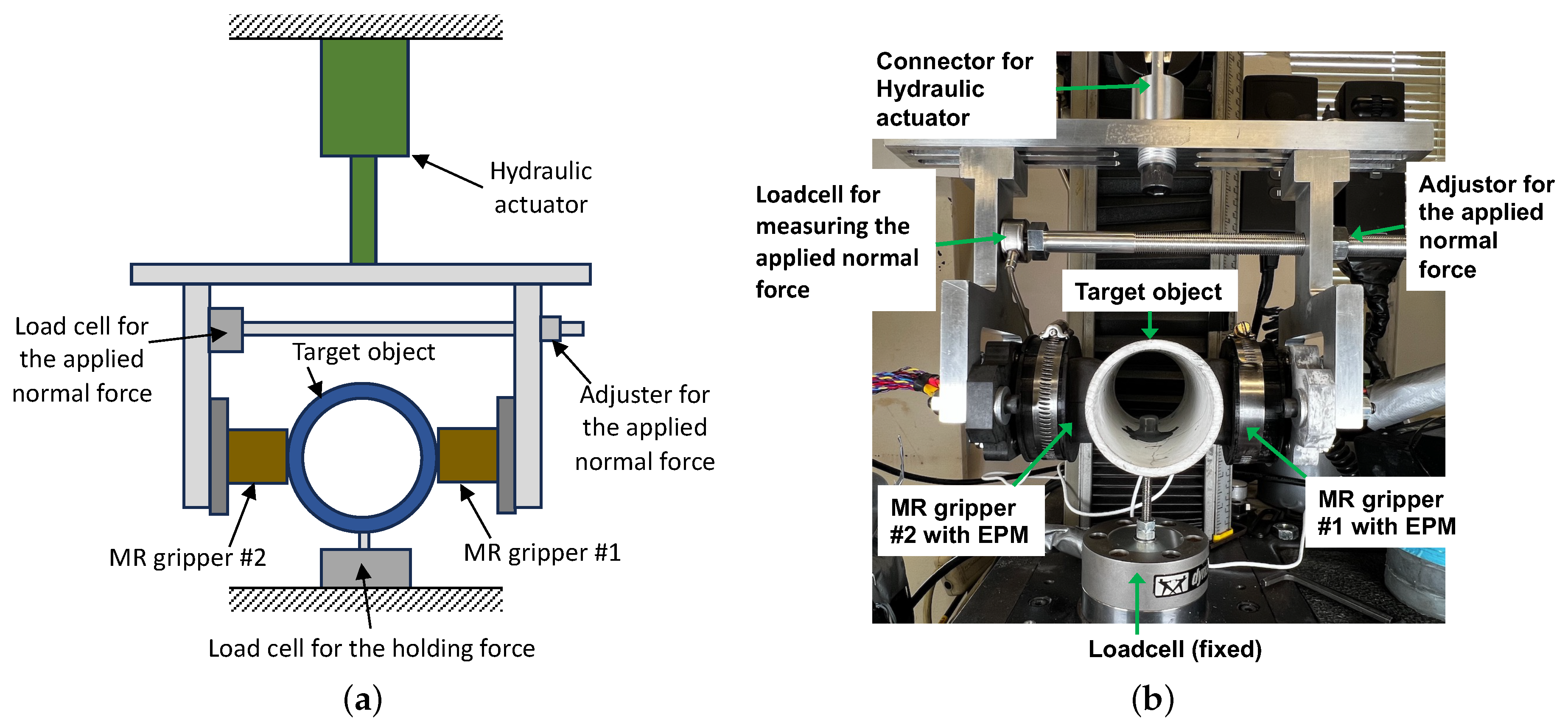 An Adaptive Magnetorheological Fluid-Based Robotic Claw with an Electro ...