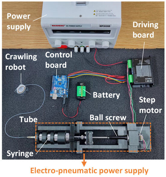 Minimal Bio-Inspired Crawling Robots with Motion Control Capabilities