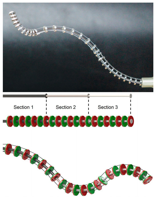 Actuators | Free Full-Text | Unlocking the Potential of Cable-Driven Continuum Robots: A ...