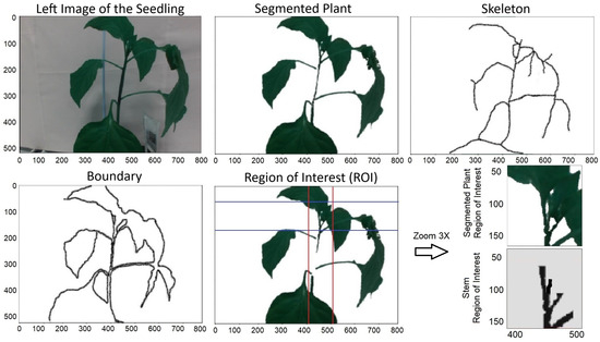 Real-Time Point Recognition for Seedlings Using Kernel Density ...