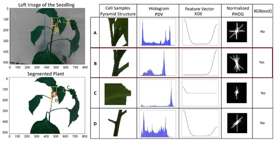 Real-Time Point Recognition for Seedlings Using Kernel Density Estimators and Pyramid Histogram ...