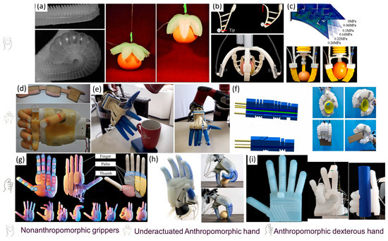 Anthropomorphic Soft Hand: Dexterity, Sensing, and Machine Learning