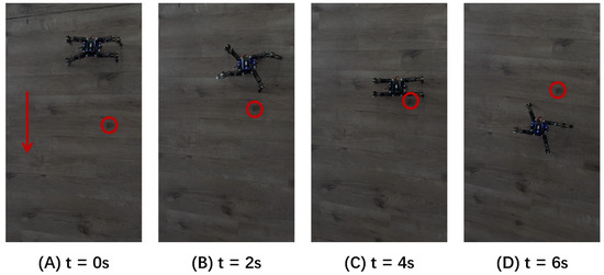 Motion Control of a Hybrid Quadruped-Quadrotor Robot