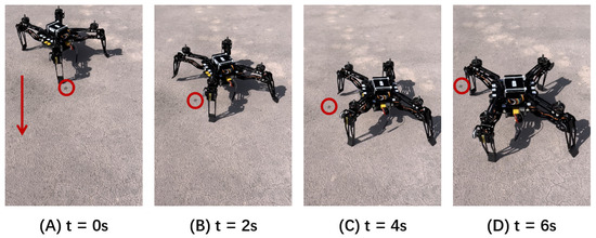 Motion Control of a Hybrid Quadruped-Quadrotor Robot