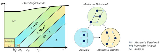 Morphing Spoiler for Adaptive Aerodynamics by Shape Memory Alloys