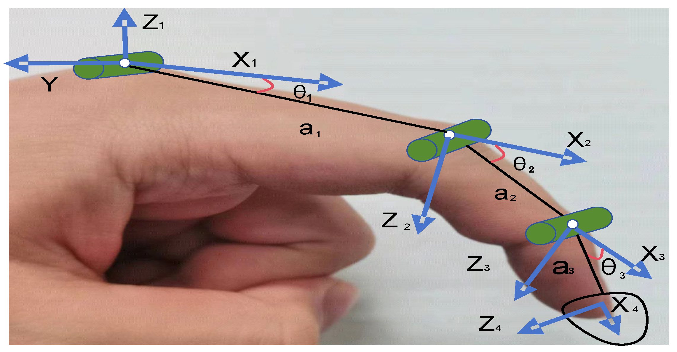 Finger Multi-Joint Trajectory Measurement and Kinematics Analysis Based on Machine Vision