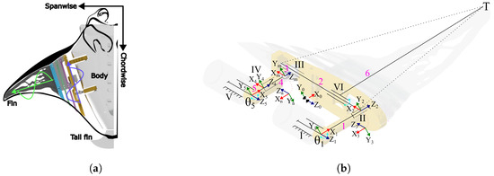 Mechanical Design of a New Hybrid 3R-DoF Bioinspired Robotic Fin Based ...