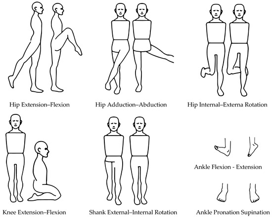 Human Extremities