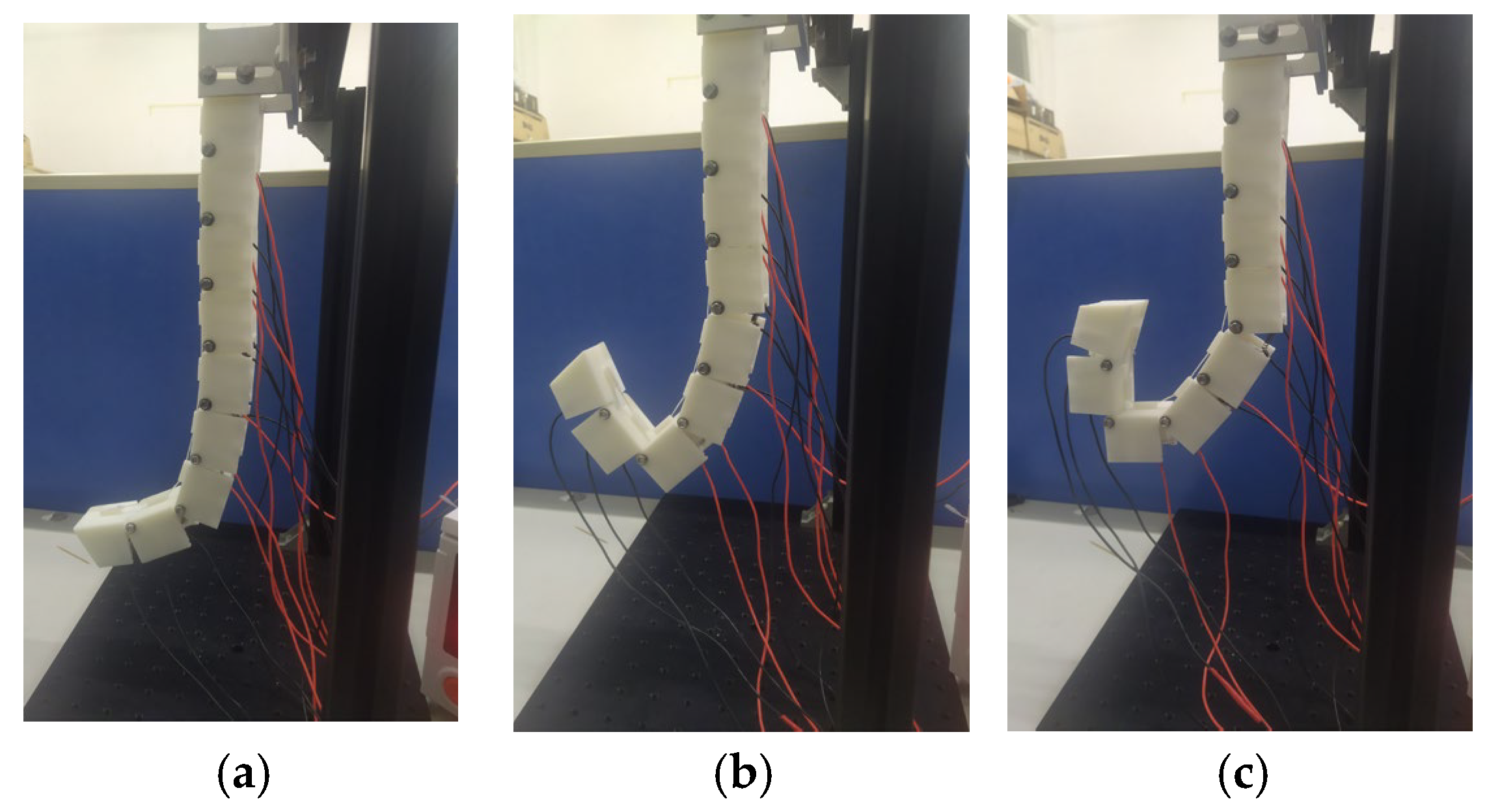 Envelope Morphology of an Elephant Trunk-like Robot Based on ...