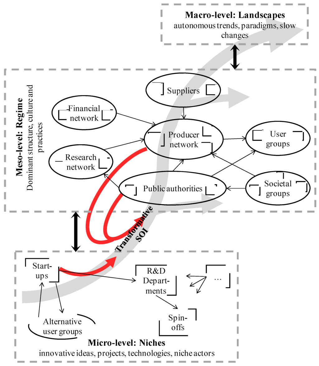 The Role of Sustainable Entrepreneurship in Sustainability Transitions ...