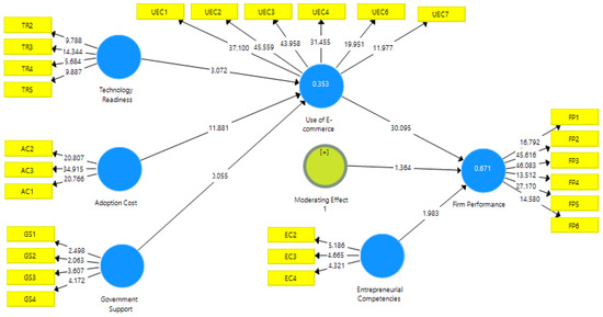 E-Commerce and SME Performance: The Moderating Influence of ...