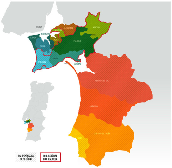 Administrative Sciences | Free Full-Text | A Strategic Roadmap for the ...