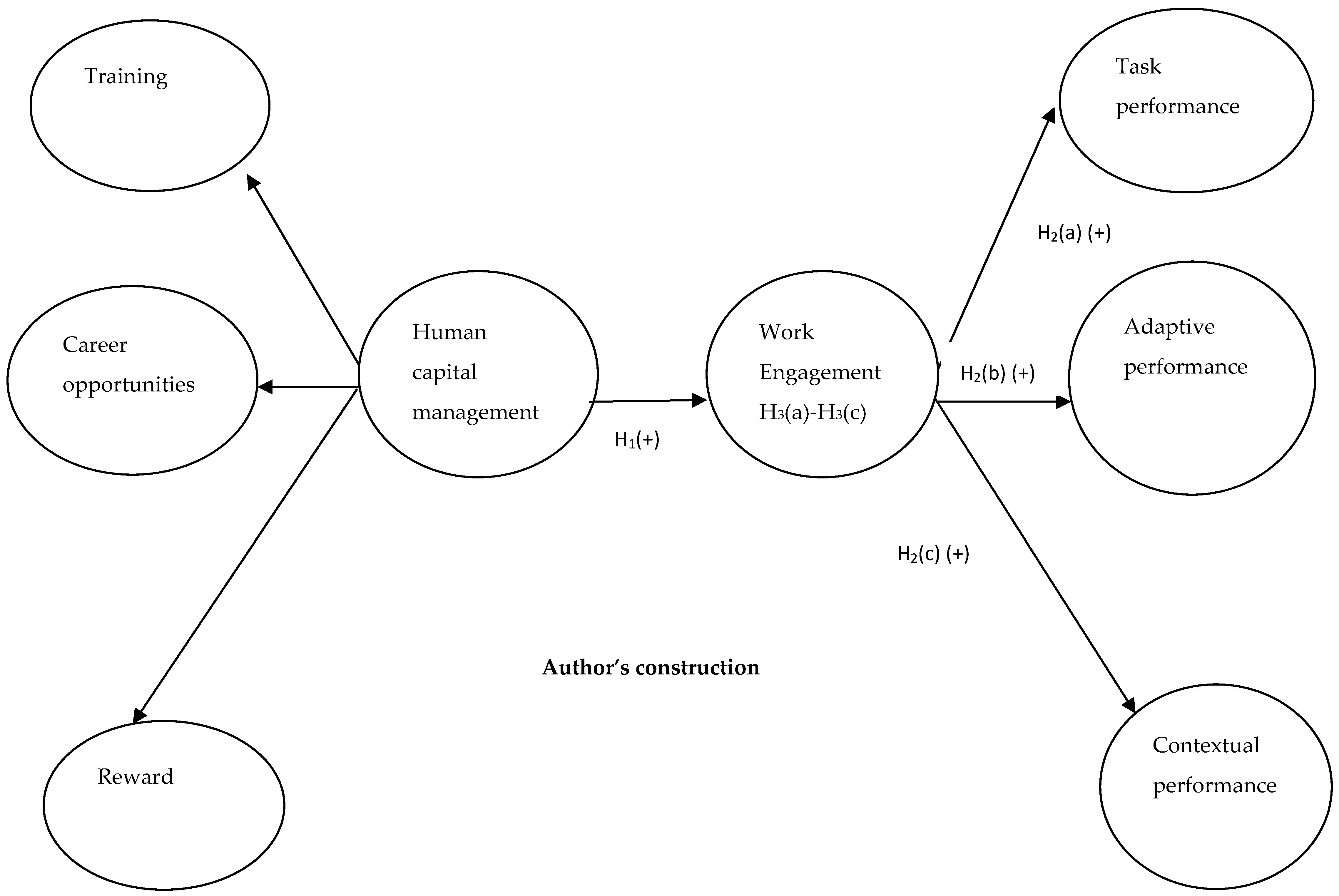 Bridging the Gap: Exploring the Impact of Human Capital Management on ...