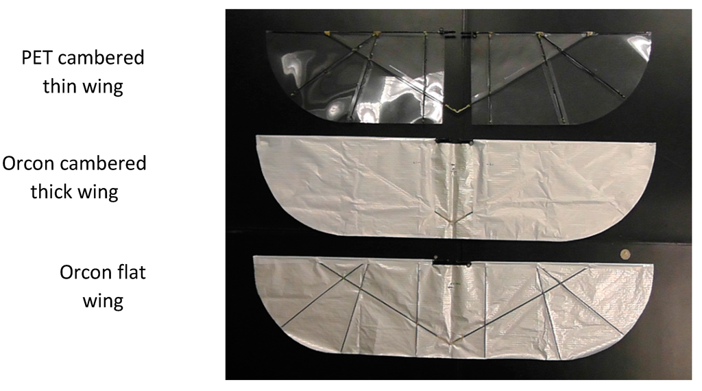 Ornithopter Type Flapping Wings for Autonomous Micro Air Vehicles