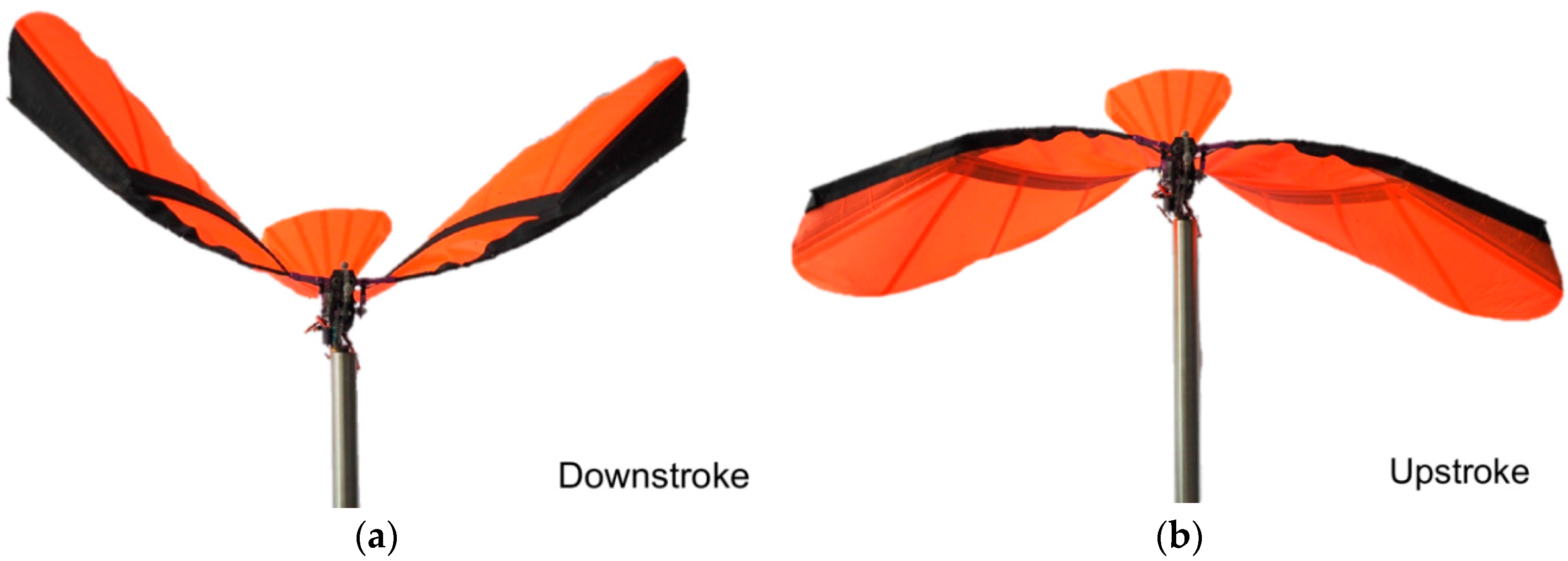 Analysis of Kinematics of Flapping Wing UAV Using OptiTrack Systems