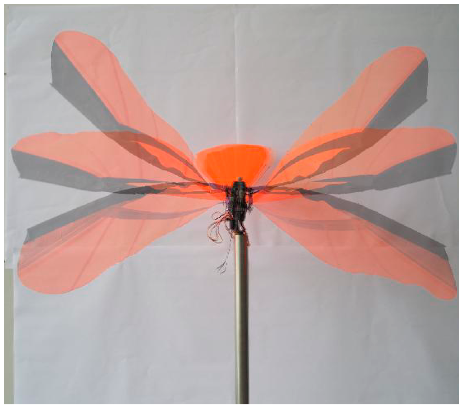 Analysis of Kinematics of Flapping Wing UAV Using OptiTrack Systems