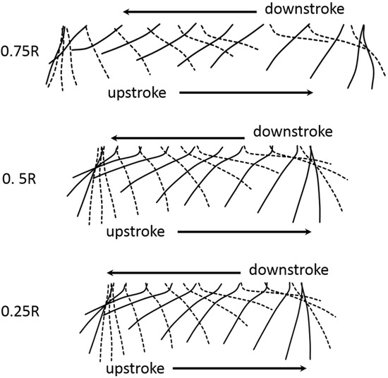 Bio-Inspired Flexible Flapping Wings with Elastic Deformation