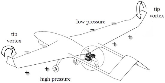 Experimental Investigation of the Wake and the Wingtip Vortices of a ...